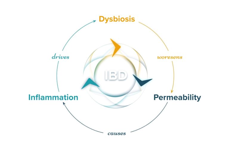 The Microbiota-Gut-Brain Axis in Inflammatory Bowel Disease | IBDCoach