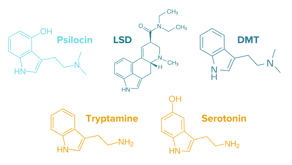 Psychedelics, the Microbiome, and IBD: A Next-Generation IBD Medication ...