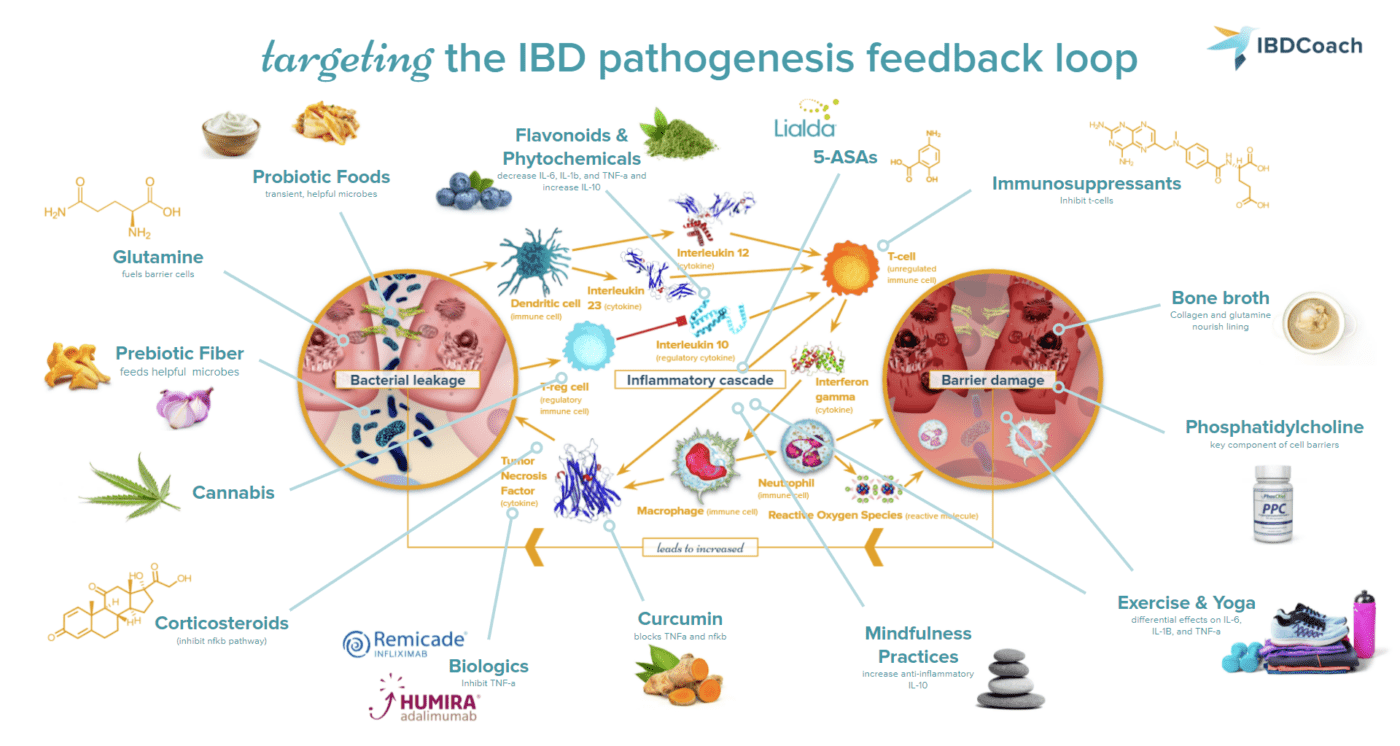 Treatments for Inflammatory Bowel Disease | IBDCoach